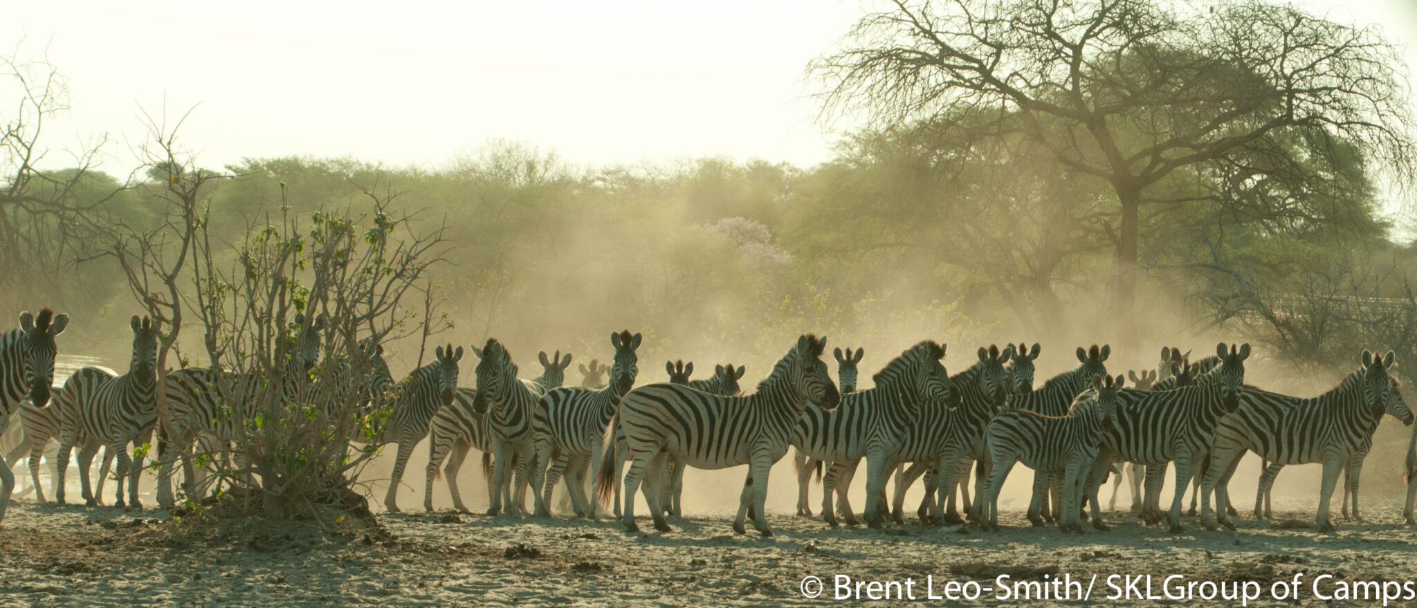A Guide to Self Drive Camping in Botswana: Tips & Campsites